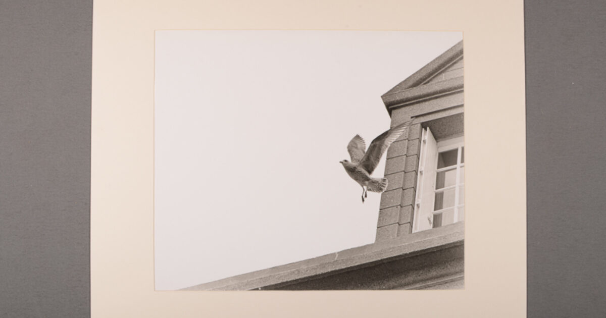 Museum Jan Cunen | Vleugels